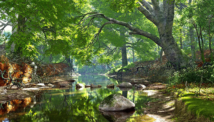 Free 3D Digital Art Community | Find 2D & 3D Models, Tutorials ...